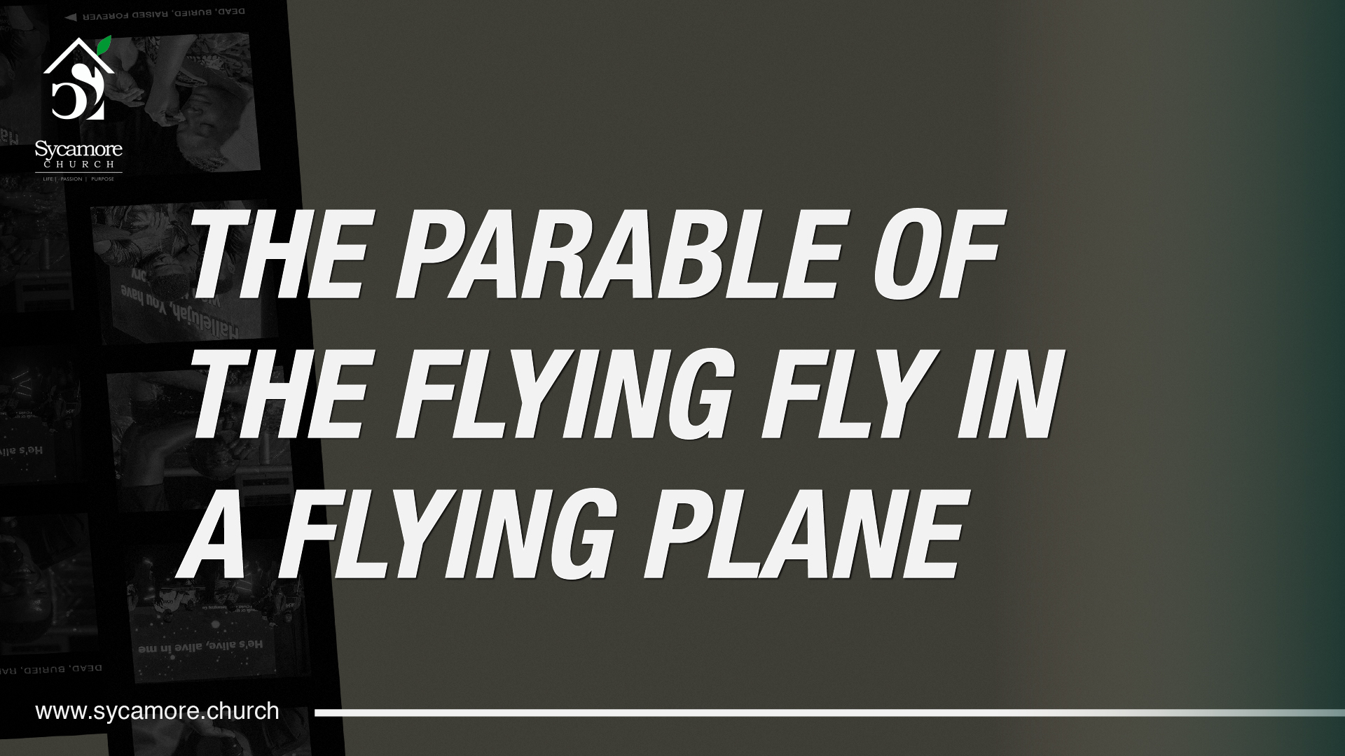The Parable of the Flying Fly in a Flying Plane - Sycamore Community Church